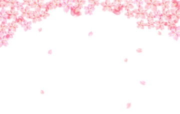 画像素材 | 花・植物・イラスト・CGの写真素材ならイメージナビ