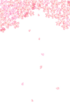 画像素材 | 花・植物・イラスト・CGの写真素材ならイメージナビ