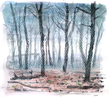 【季節のイラスト 『秋の風景』】（イラスト）の画像素材 | 花・植物・イラスト・CGのイラスト素材ならイメージナビ